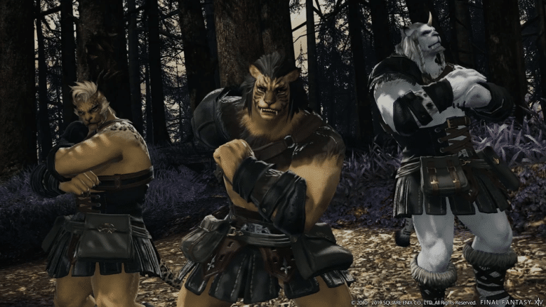 FFXIV Races Explained – Esports News Network | ESTNN